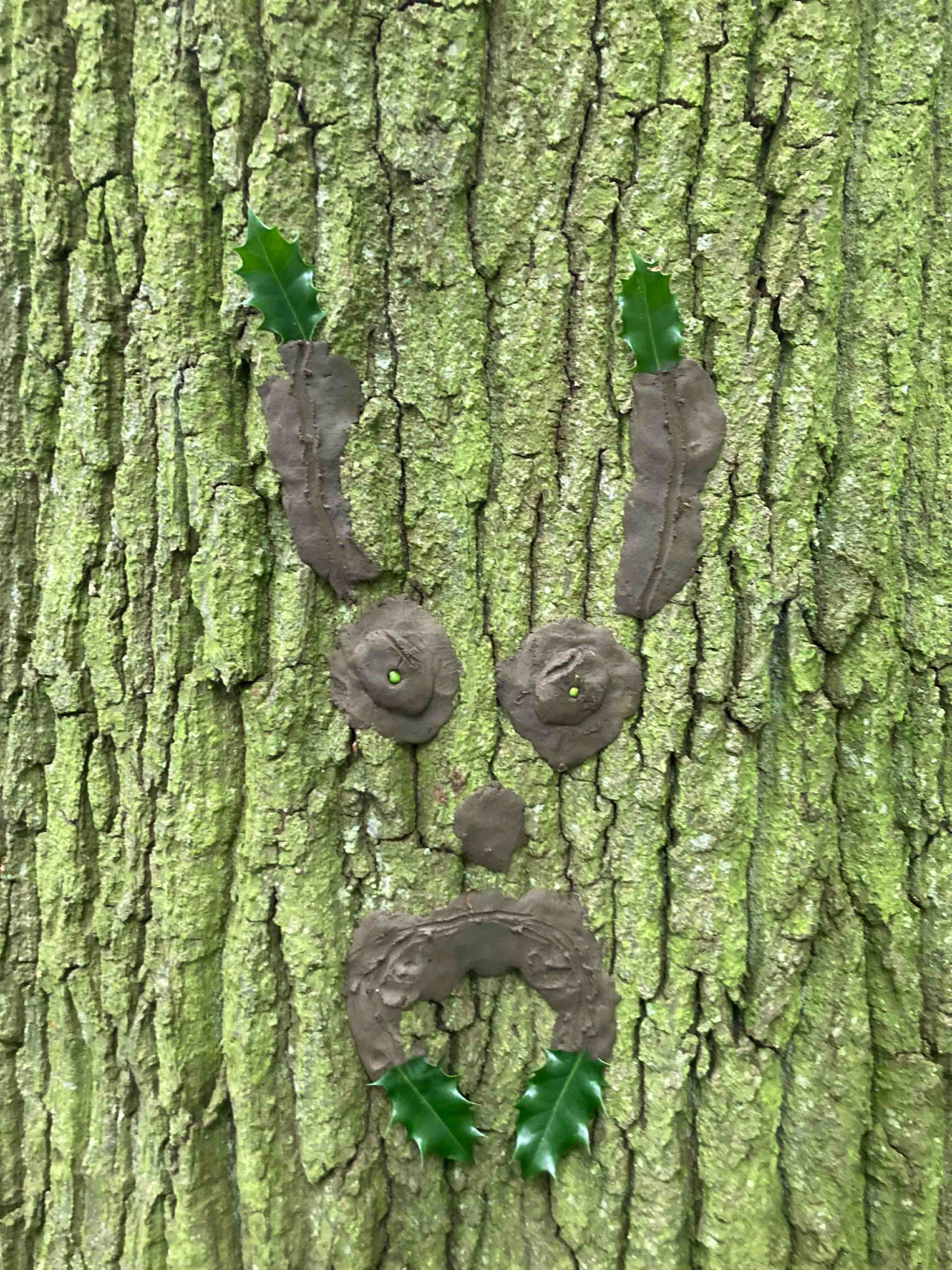 Tree Guardians – Blyth Woods